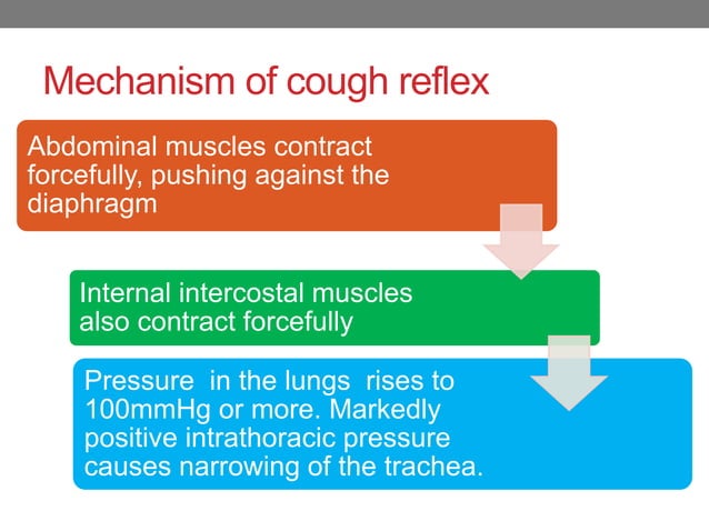 Mechanism of cough and sneeze reflex | PPTX | Lung and Respiratory ...
