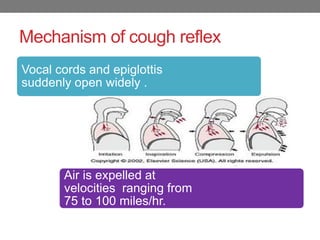 Mechanism of cough and sneeze reflex | PPTX