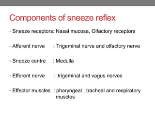 Mechanism of cough and sneeze reflex | PPTX | Lung and Respiratory ...