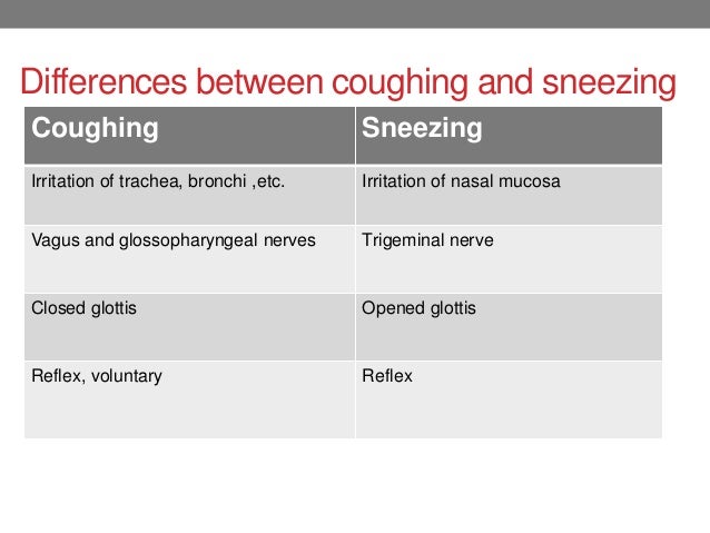 Mechanism of cough and sneeze reflex