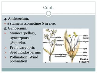 poaceae | PPTX