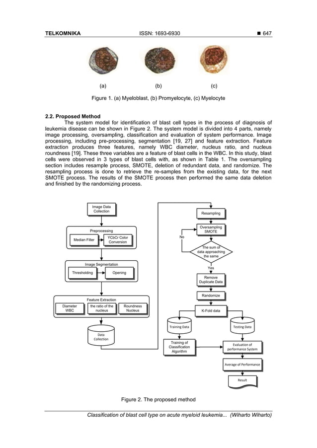 Classification of blast cell type on acute myeloid leukemia based on ...