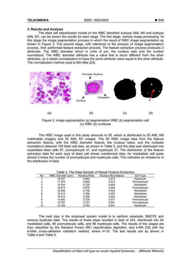 Classification of blast cell type on acute myeloid leukemia based on image morphology of white ...