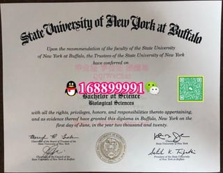 University at Buffalo degree offer diploma Transcript | PPT