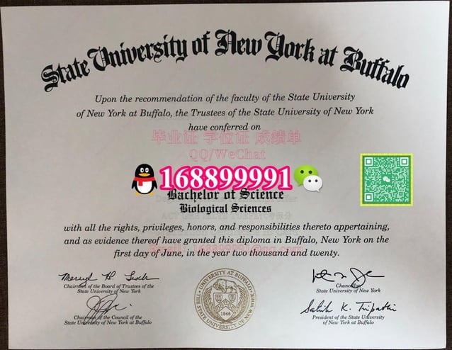 University at Buffalo degree offer diploma Transcript | PPT