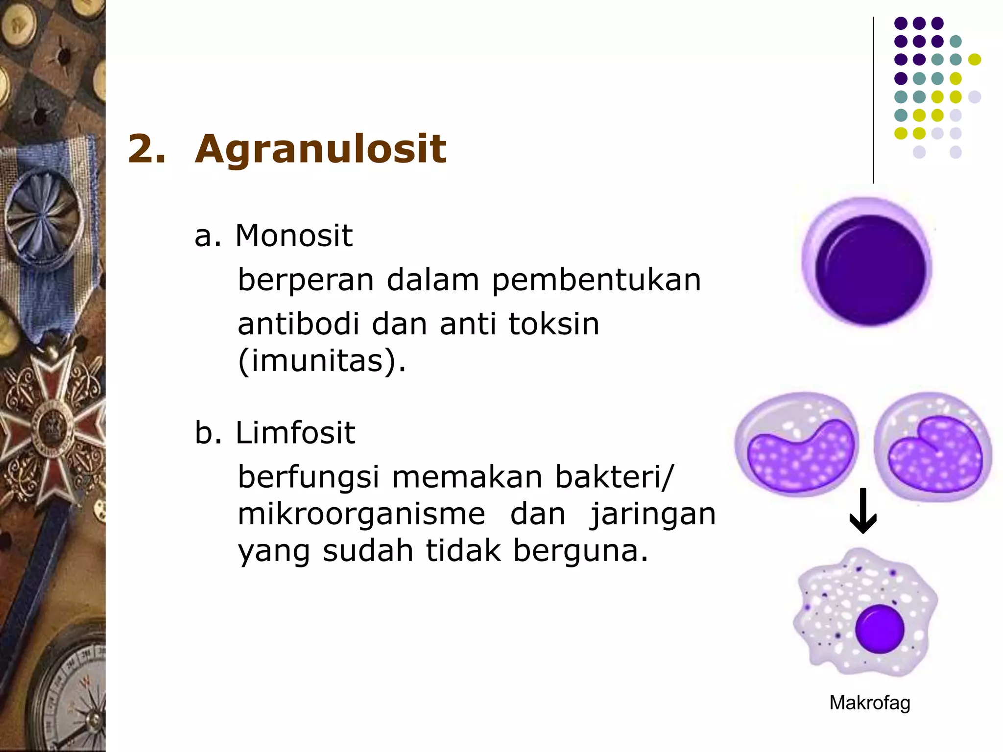 Biokimia Darah | PPTX