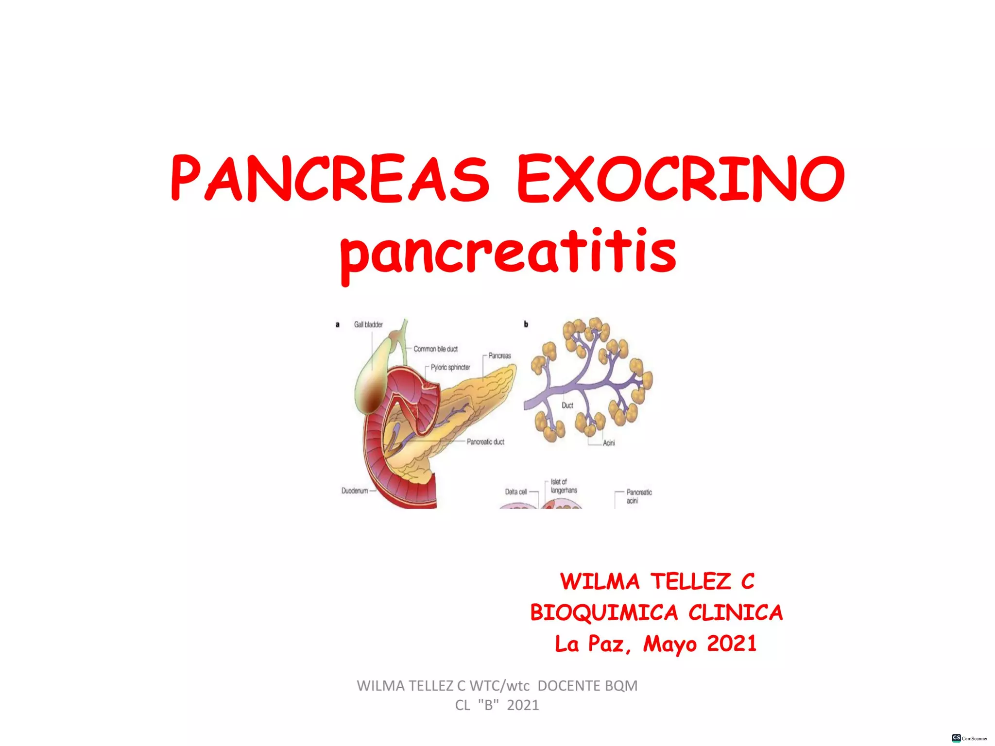 PANCREAS EXOCRINO | PPT