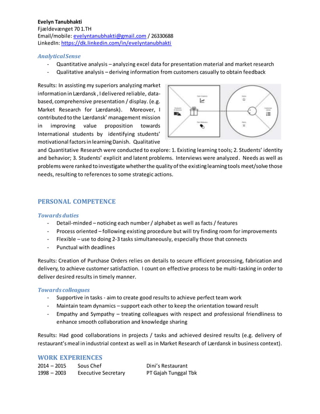 COMPETENCE PROFILE | PDF