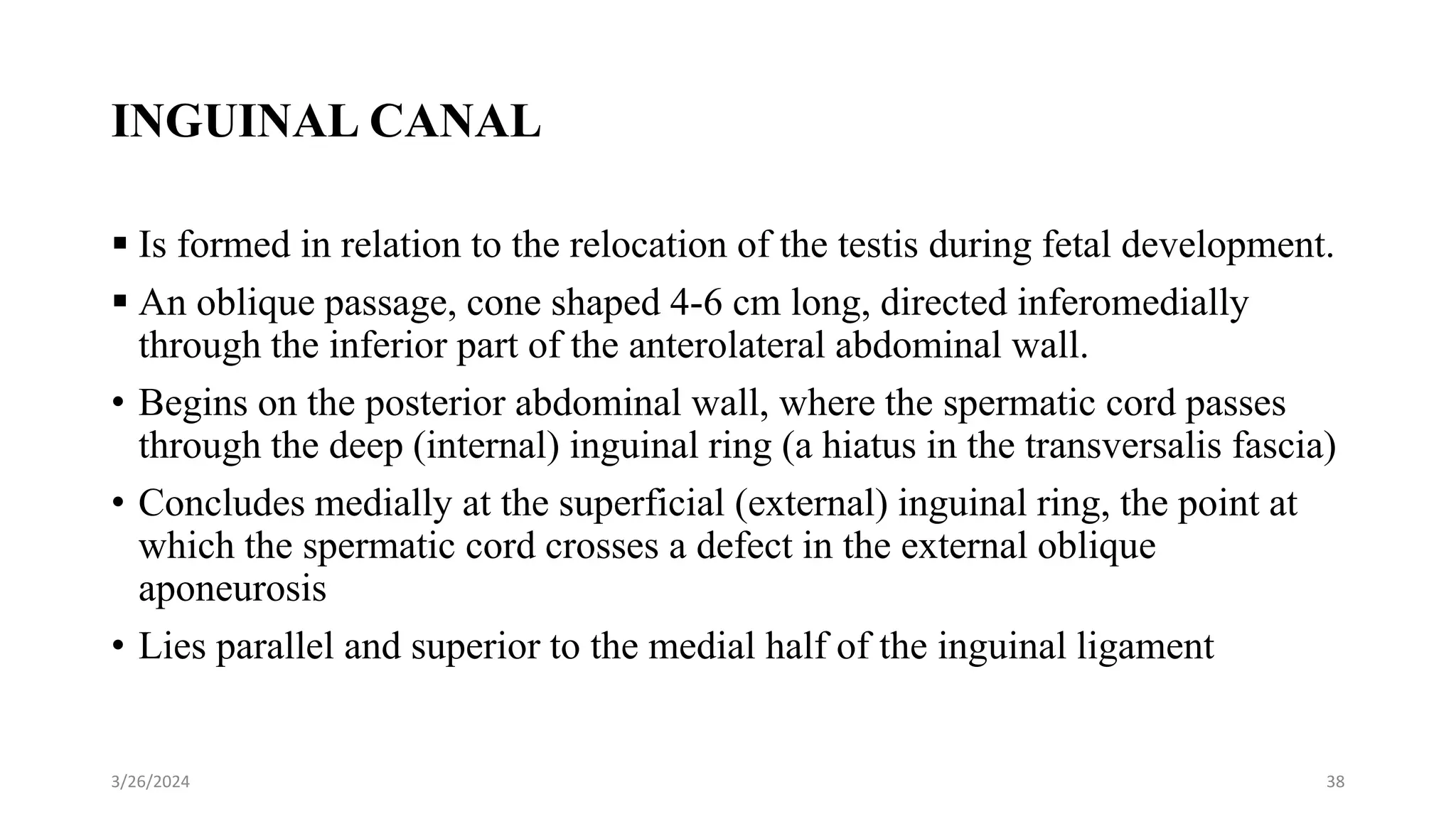 14 Abdominal Wall Anatomy and Inguinal Anatomy ppt.pptx