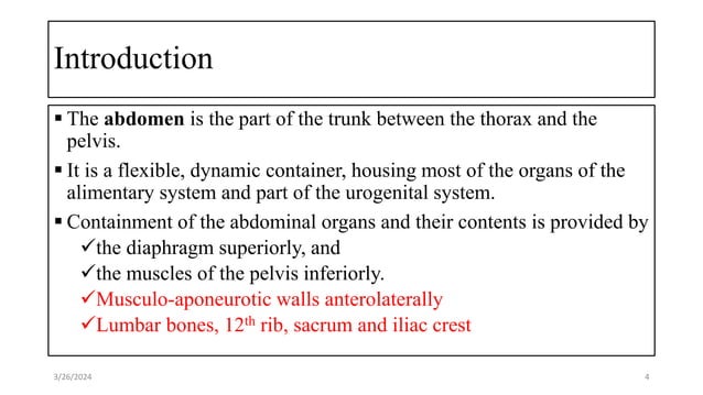 14 Abdominal Wall Anatomy and Inguinal Anatomy ppt.pptx