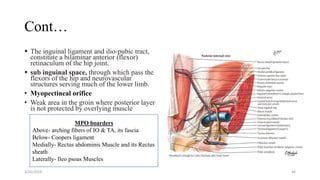 14 Abdominal Wall Anatomy and Inguinal Anatomy ppt.pptx