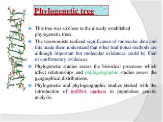 Molecular Phylogenetics | PPTX