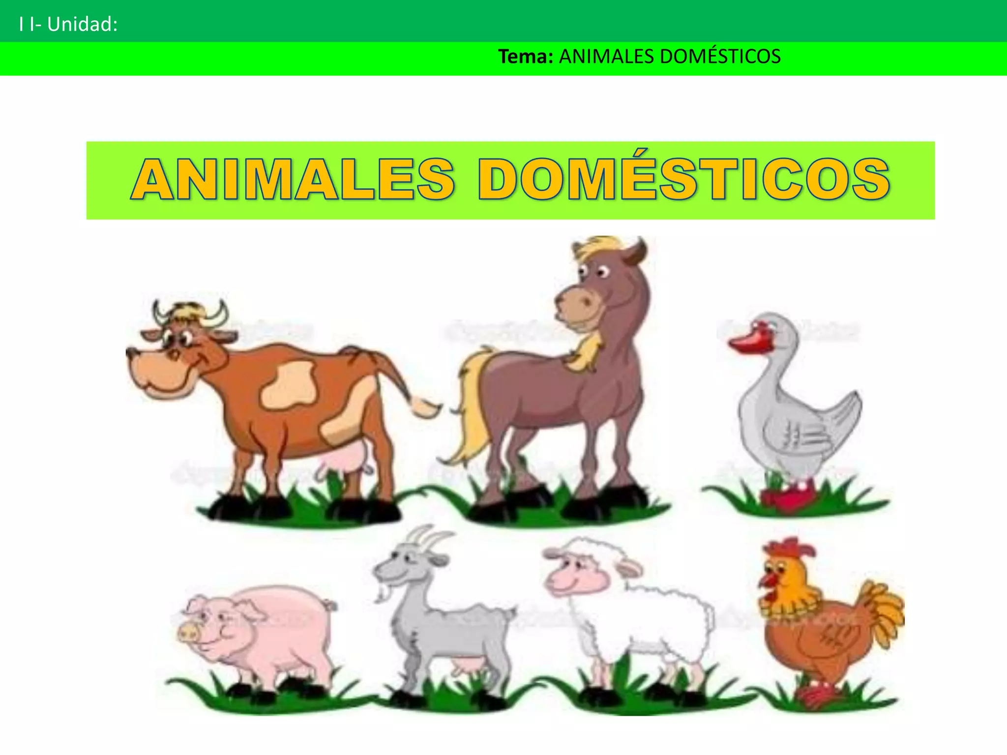14 animales domesticos | PPT