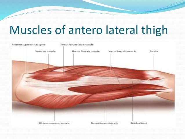 anterolateral thigh flap