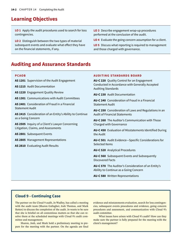 14 Audit.pdf