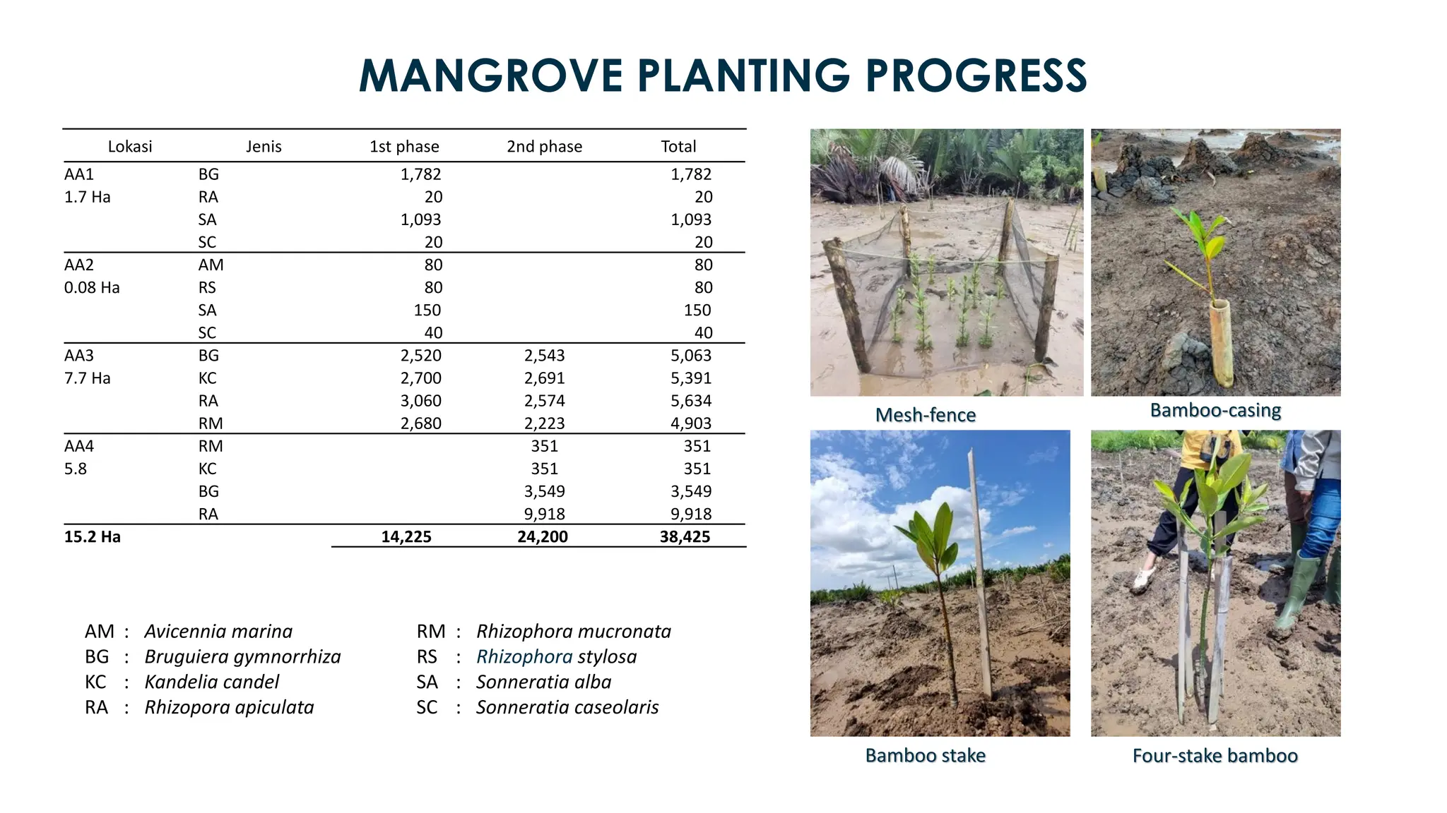 Sungsang Mangrove Restoration and Ecotourism (SMART): A participatory ...