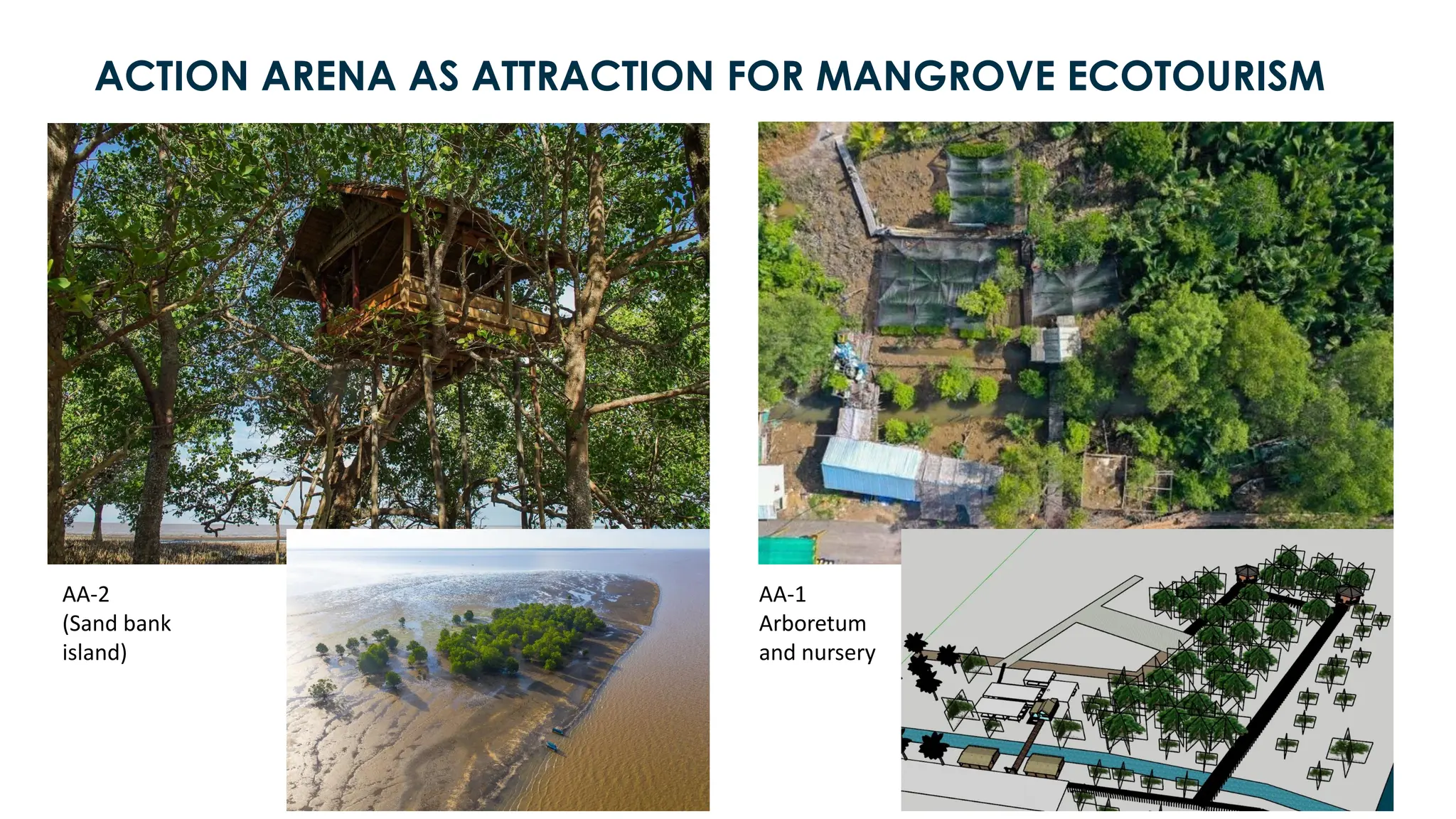 Sungsang Mangrove Restoration and Ecotourism (SMART): A participatory ...