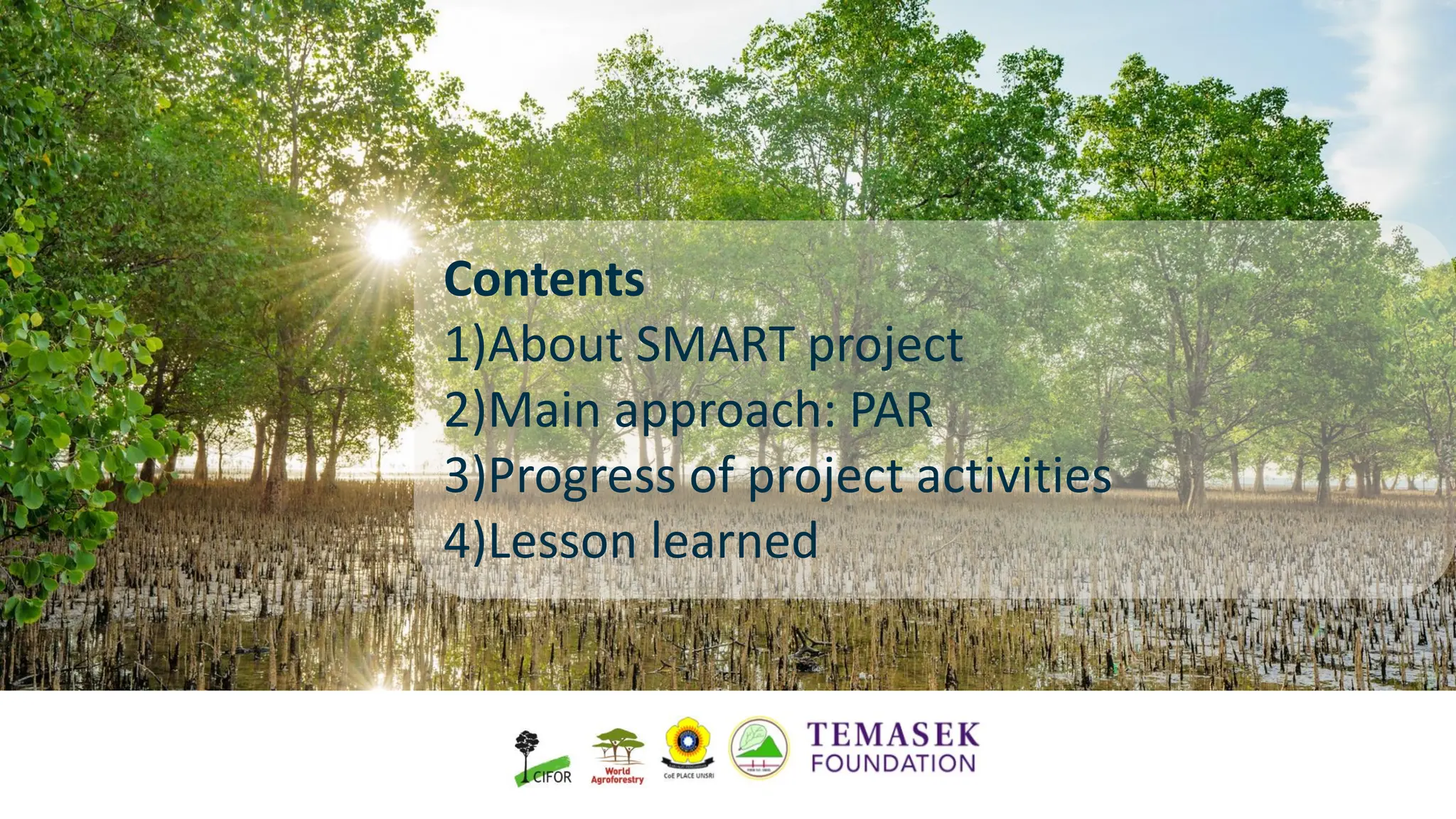 Sungsang Mangrove Restoration and Ecotourism (SMART): A participatory ...