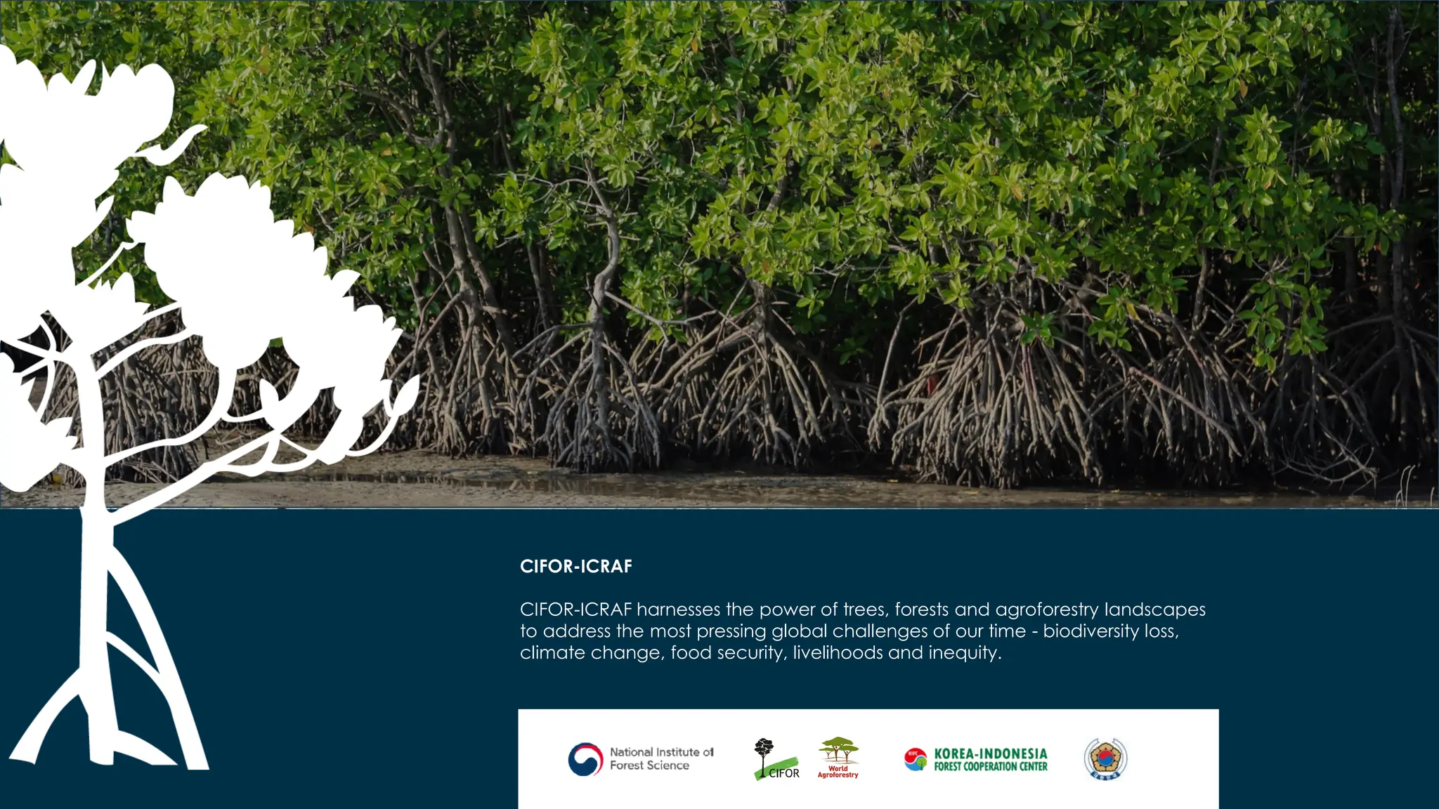 Sungsang Mangrove Restoration and Ecotourism (SMART): A participatory ...