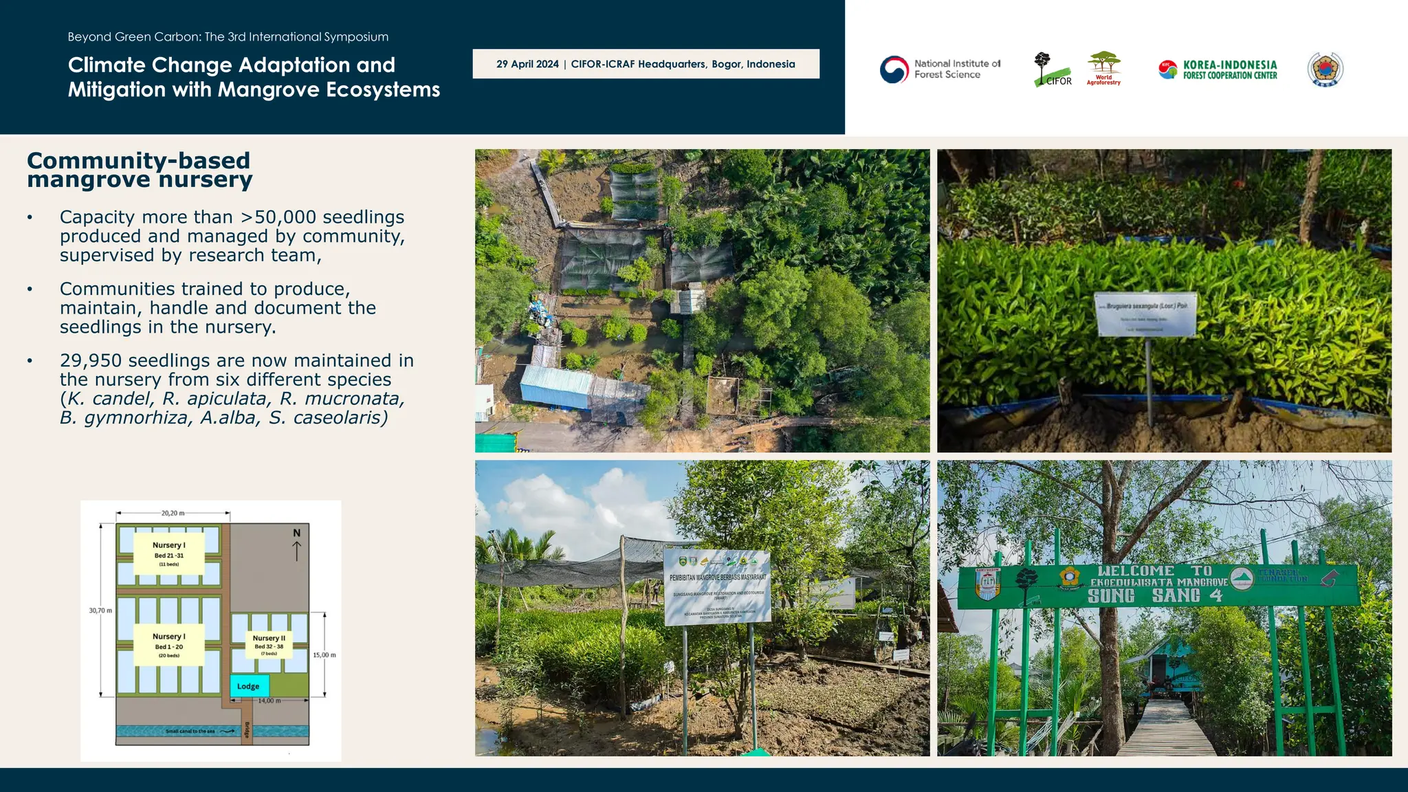 Sungsang Mangrove Restoration and Ecotourism (SMART): A participatory ...