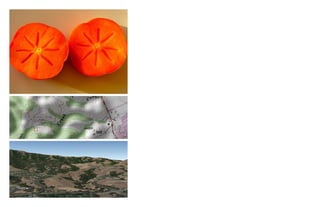 Persimmon Place - Schematic Design v3 hi-res | PPT