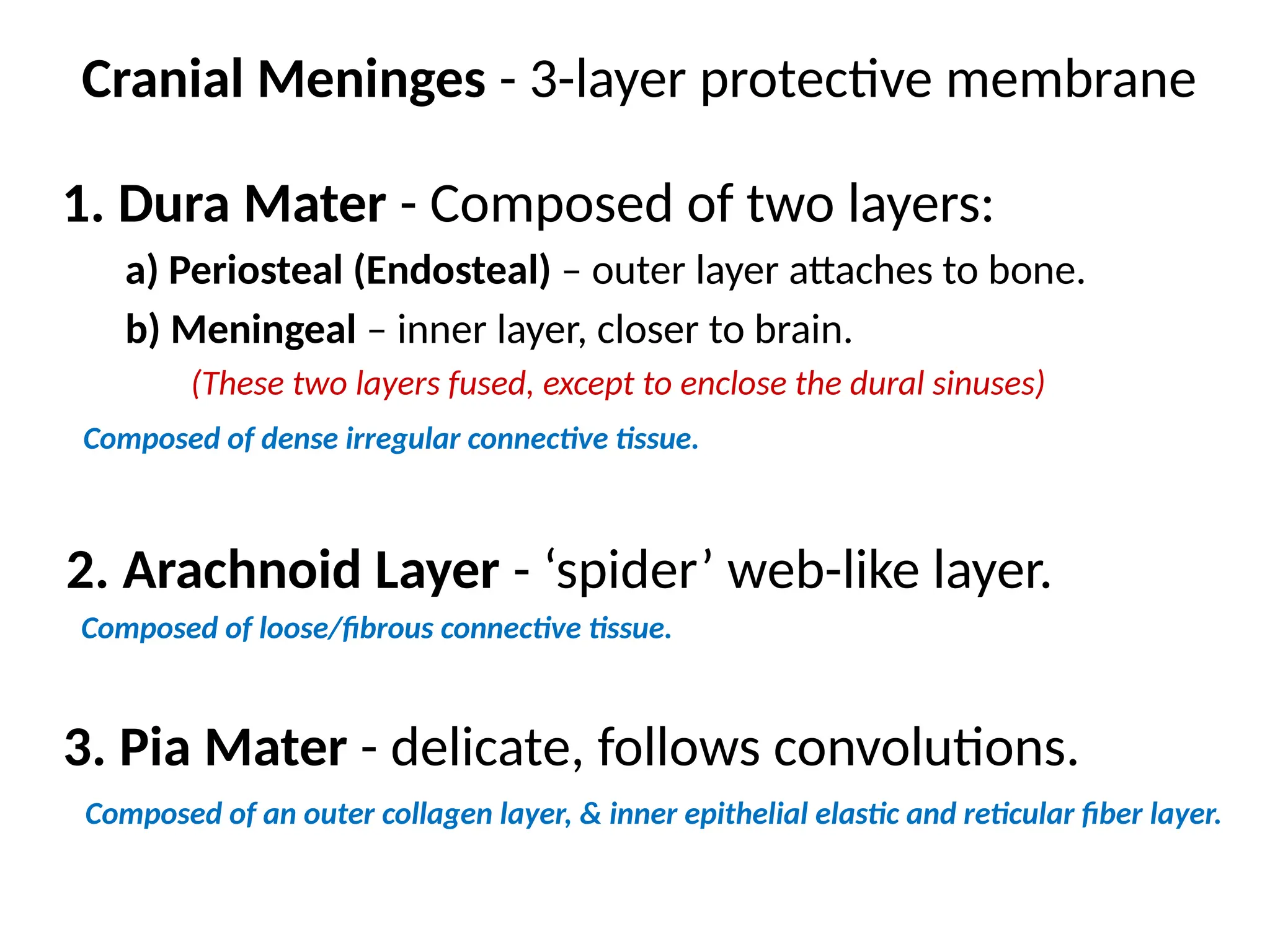 #14 Brain Stem and CSF Anatomy introduction.pptx
