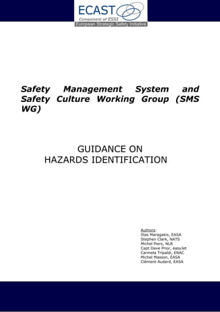 ECASTSMSWG-GuidanceonHazardIdentification | PDF