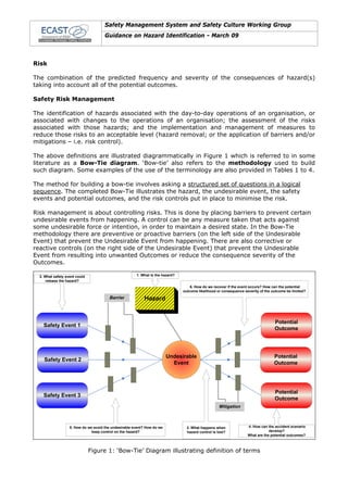 ECASTSMSWG-GuidanceonHazardIdentification | PDF