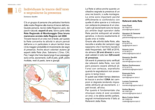 Parchilazio.it: l'orso bruno marsicano | PDF