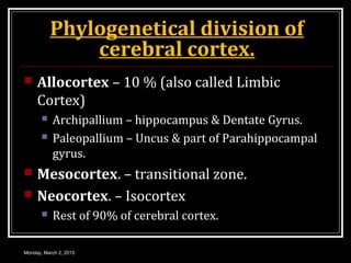 CEREBRAL CORTEX | PPT