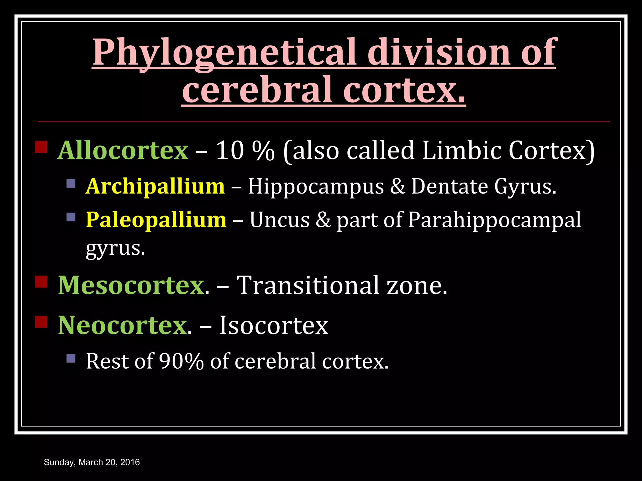 CEREBRAL CORTEX | PPT