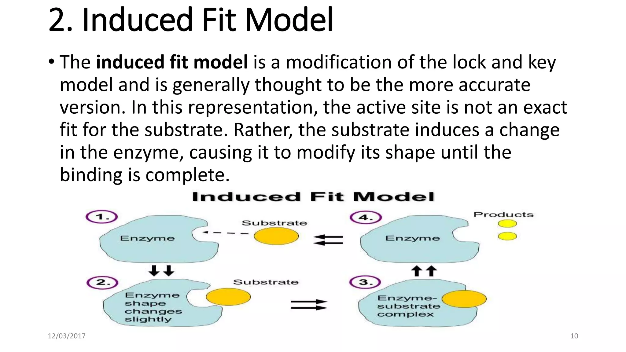 Enzyme substrate complex | PPTX