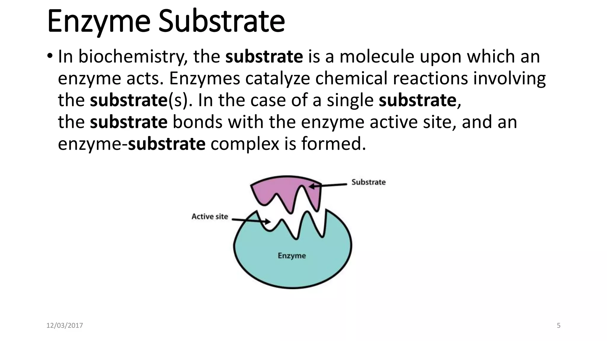 Enzyme substrate complex | PPTX