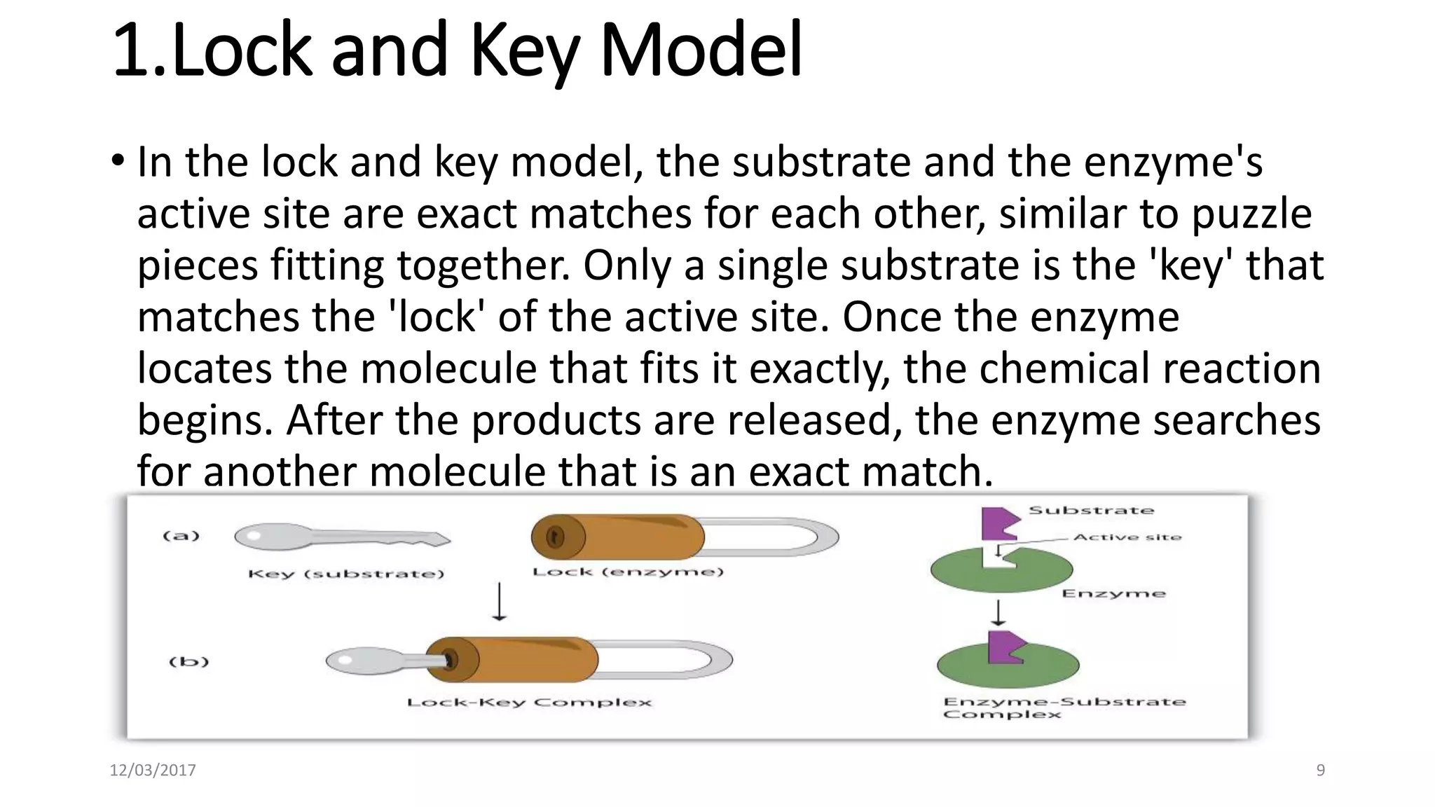 Enzyme substrate complex | PPTX