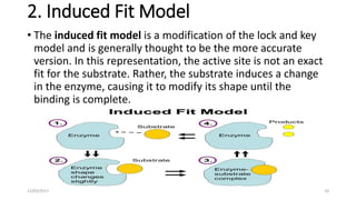 Enzyme substrate complex | PPTX