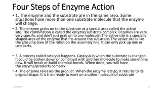 Enzyme substrate complex | PPTX