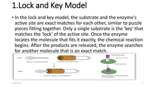 Enzyme substrate complex | PPTX