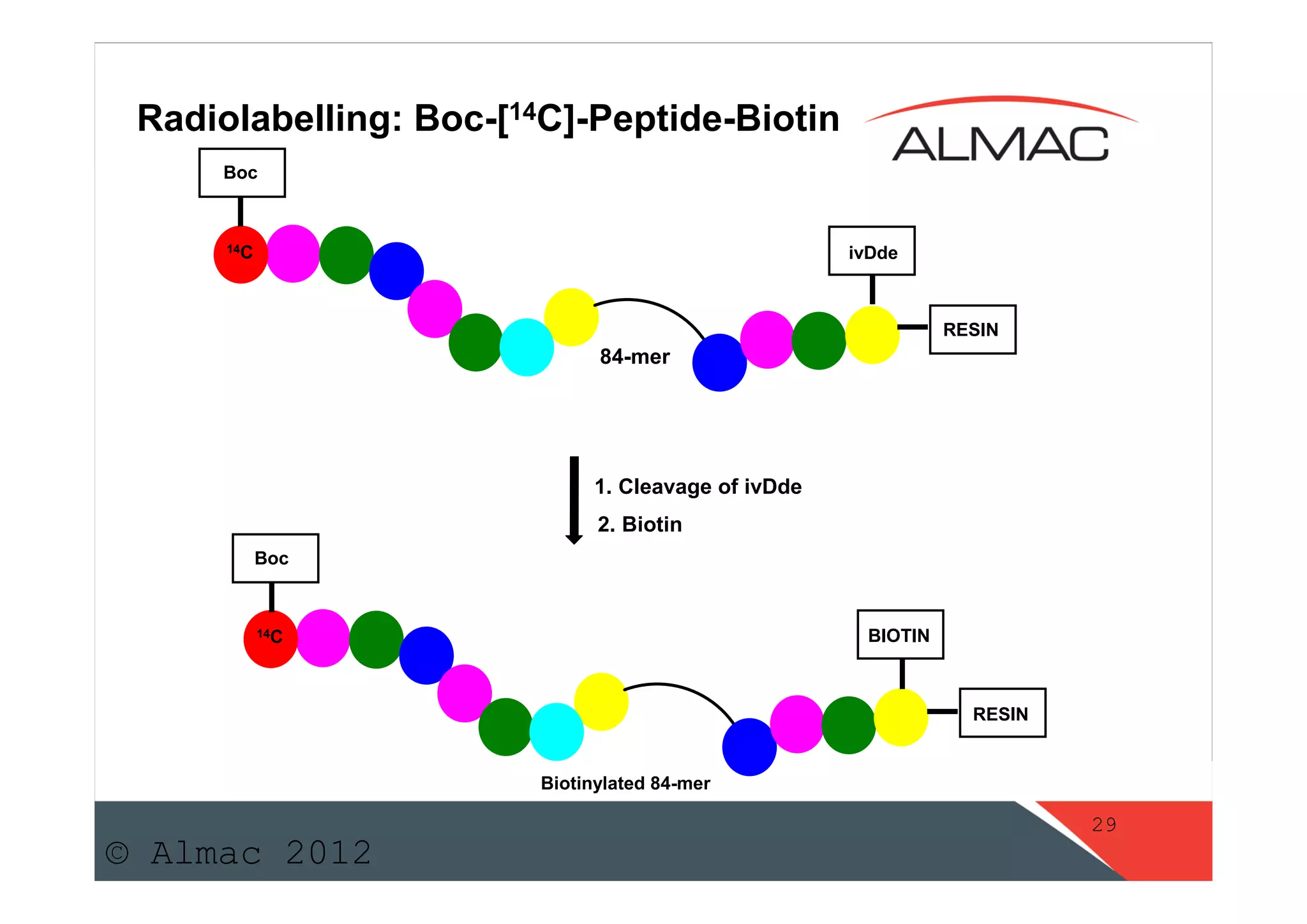 14C Labelled Peptide API\'s by Sean Kitson | PDF | Chemistry | Science
