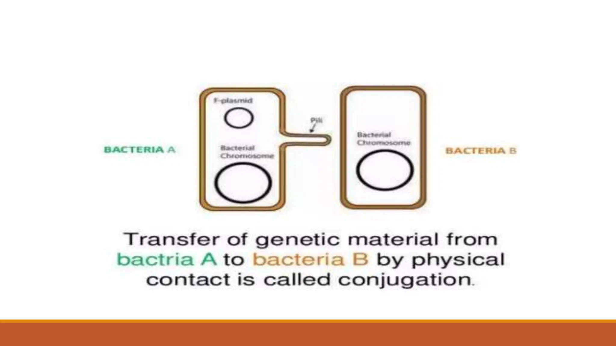 DPT - Conjugation, transduction and transformation | PPTX