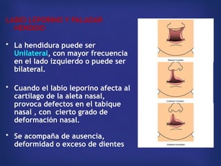 14º CUIDADOS DE ENFERMERIA AL NIÑO CON LABIO LEPORINO Y PALADAR HENDIDO ...