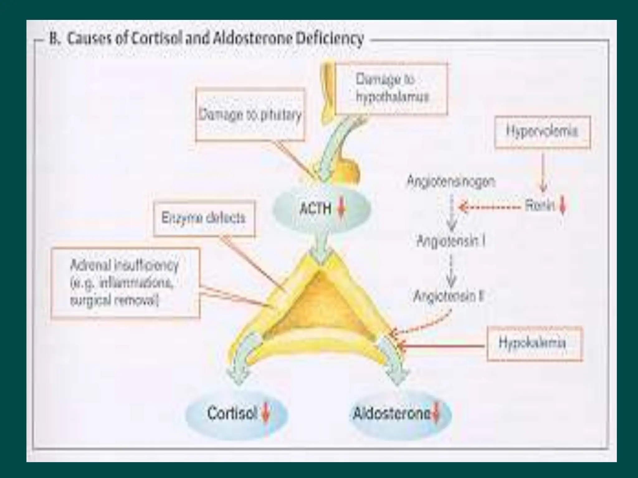 14 Disorders_of_endocrine_system and possible causes.ppt