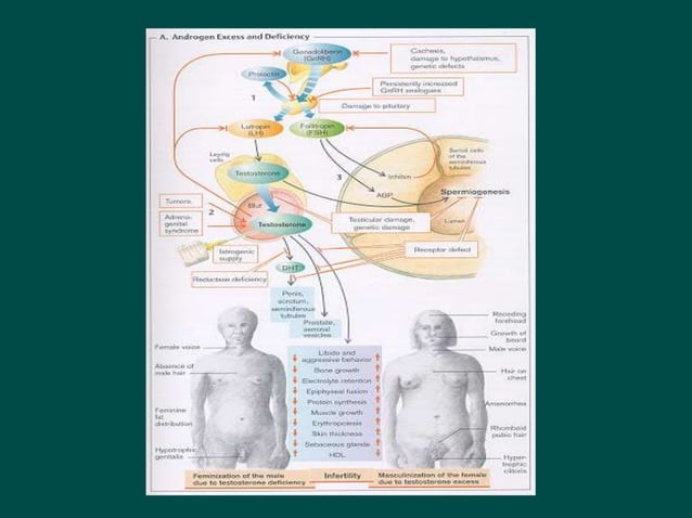 14Disorders_of_endocrine_system signs and symptoms .ppt | Endocrine and ...
