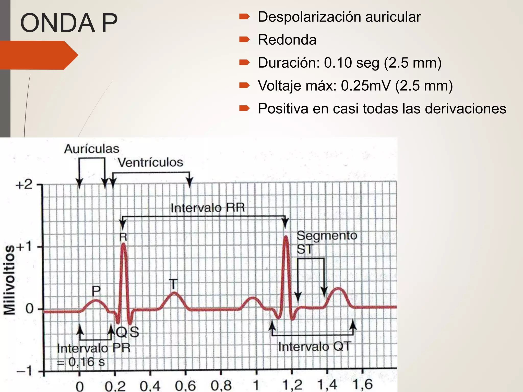 Electrocardiograma ekg | PPT