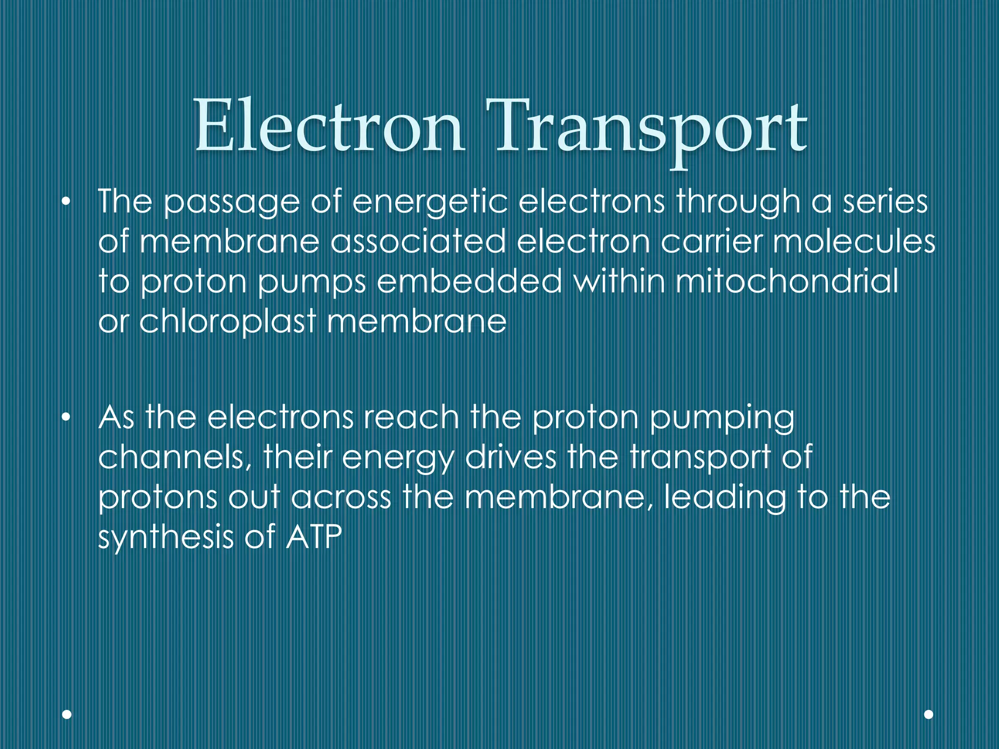 14 electron transport chain | PPTX
