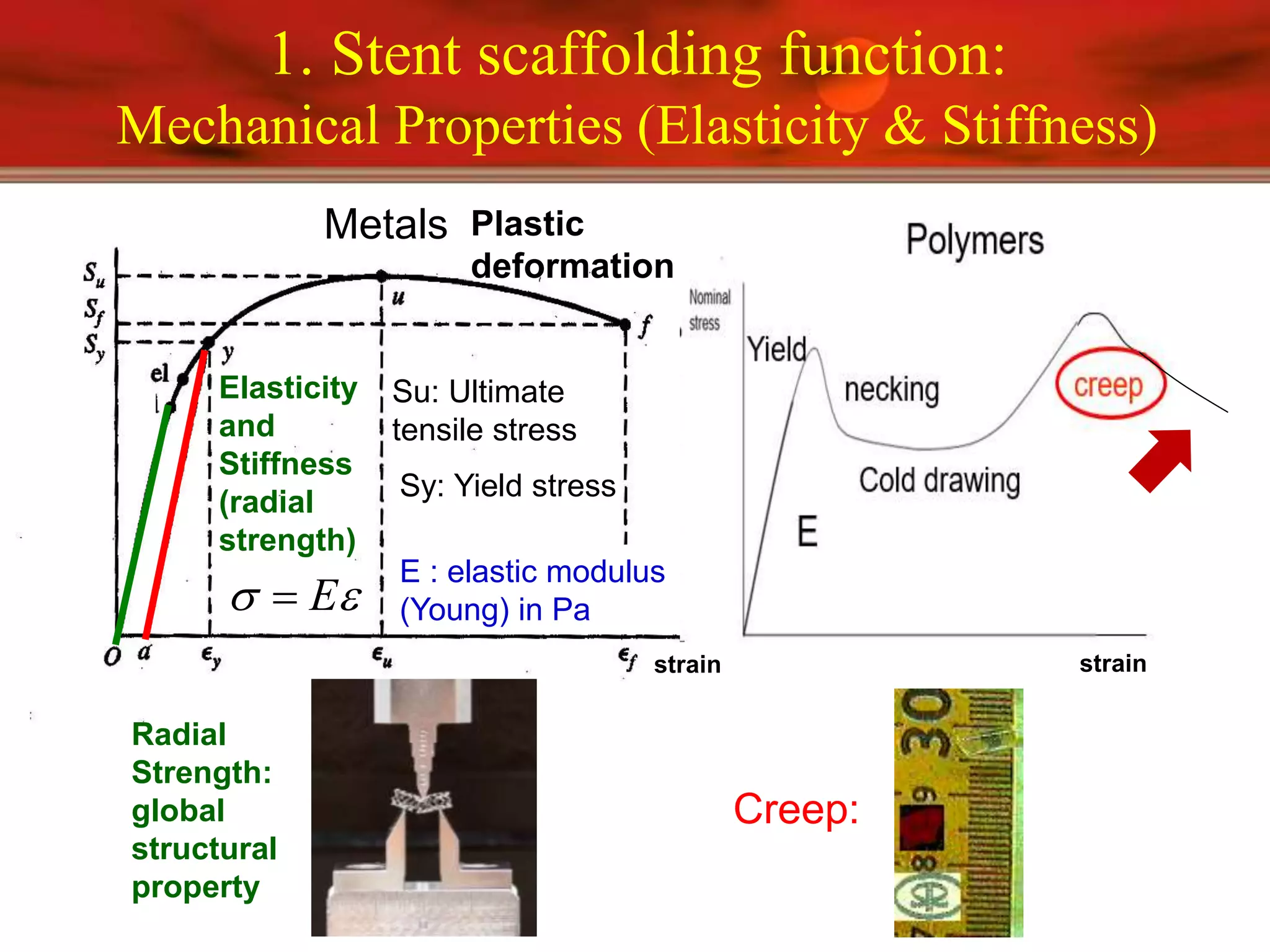 PCI & AimRadial 2018 | Biomechanics of biodegradable stents: a primer ...