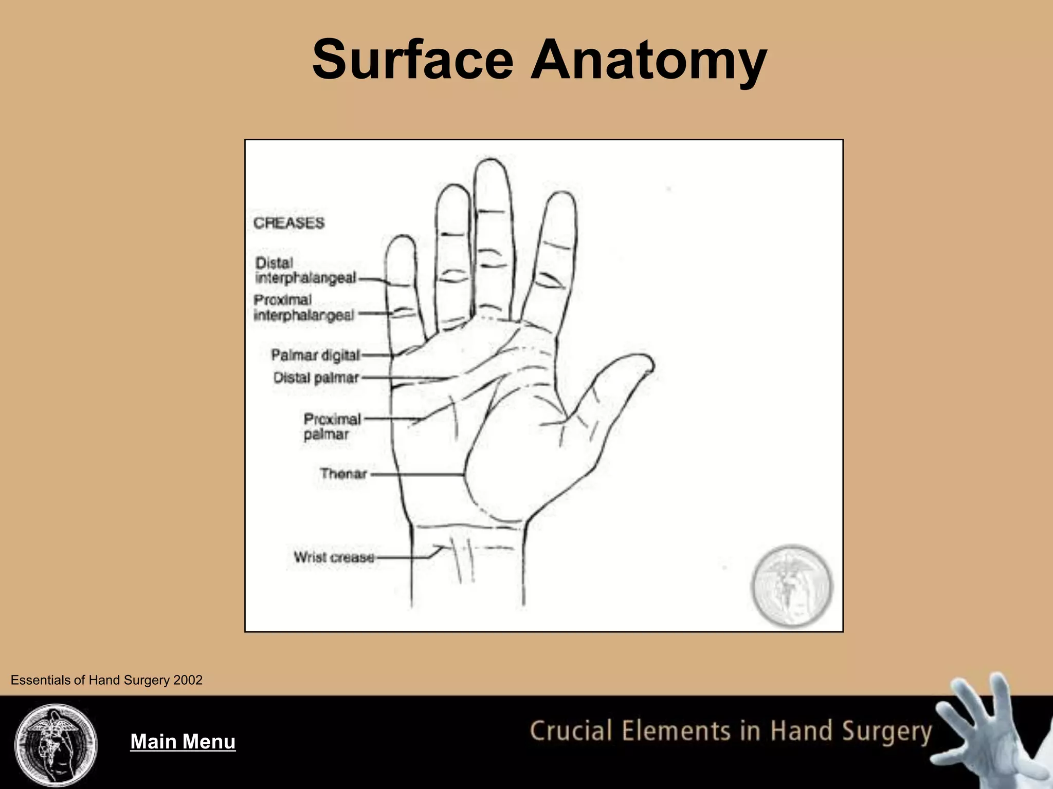 hand infection moh.pptx | Death, Injury, or Military Conflict ...