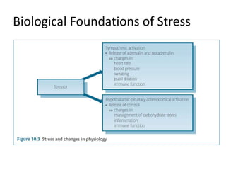 14 health psychology | PPTX
