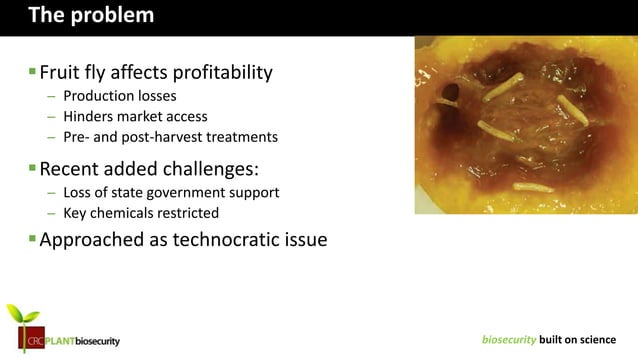 Creating an enabling environment for fruit fly area-wide management ...