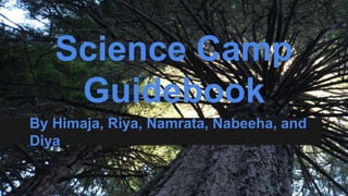 14 himaja, riya, namrata, nabeeha, diya's guidebook | PPT