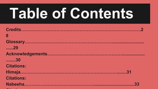 14 himaja, riya, namrata, nabeeha, diya's guidebook | PPT